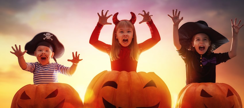 What's on for October Half Term 2018 in Cornwall - Duchy Holidays