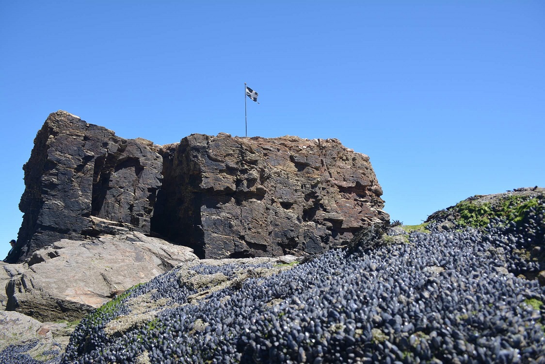 5 fun facts about Cornwall - Duchy Holidays